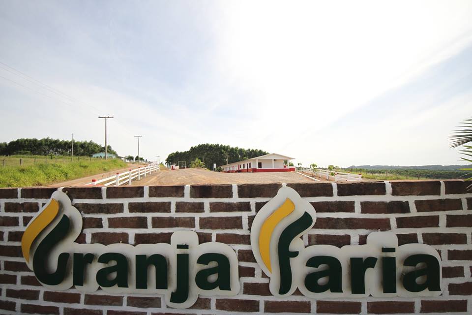 Granja Farias ampliará atuação na região – CIC Vale do Taquari